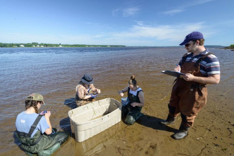 Water Quality - Shediac Bay Watershed Association