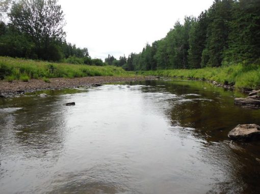 Water Quality - Shediac Bay Watershed Association